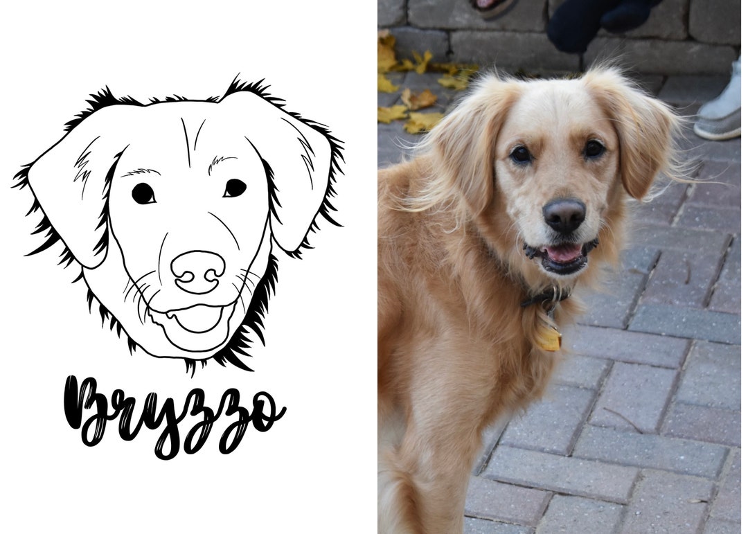 Pet Outline Drawing Portrait *DIGITAL DOWNLOAD ONLY* - Etsy