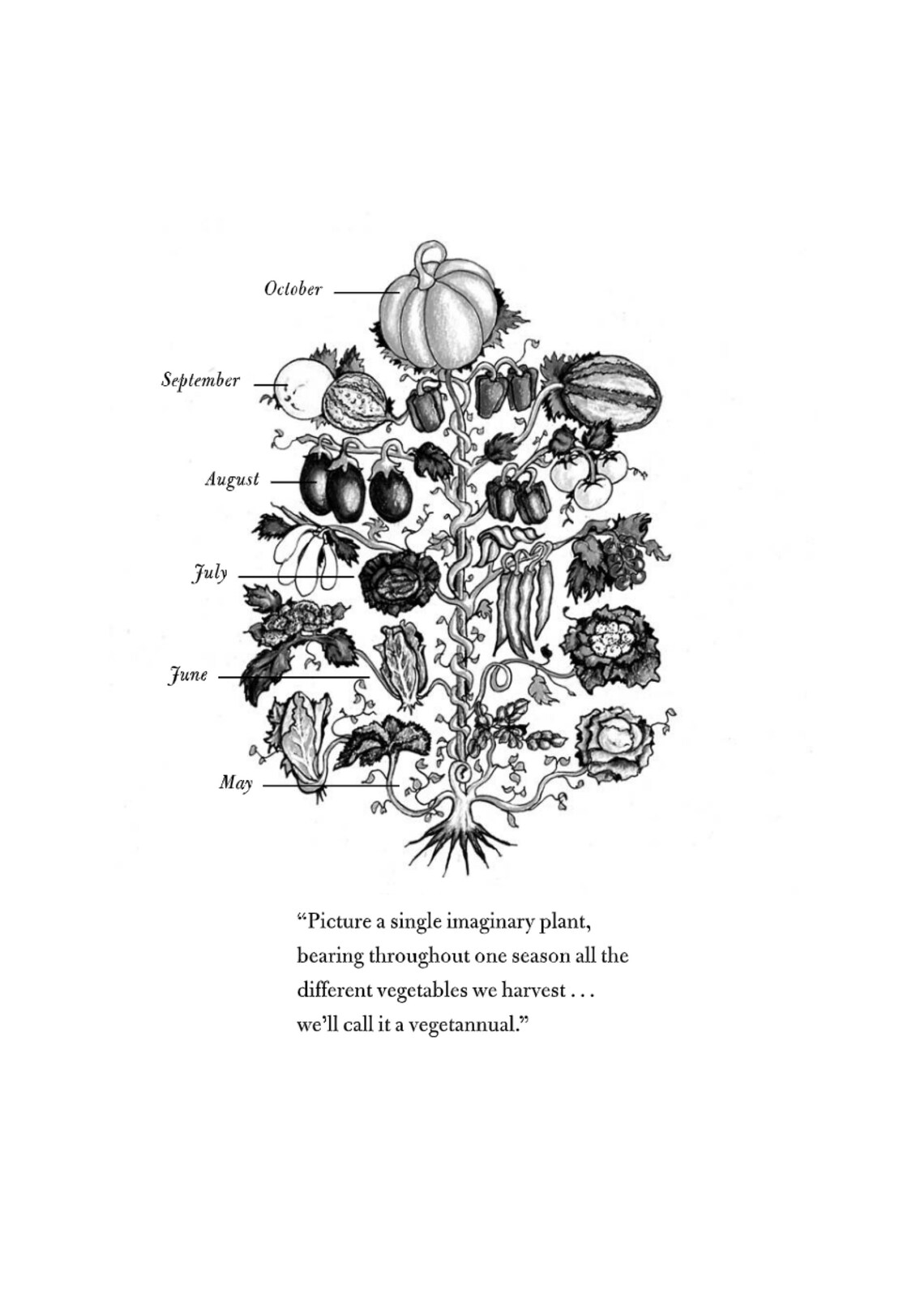 Animal, Vegetable, Miracle. A Year of Food Life by Barbara Kingsolver ...