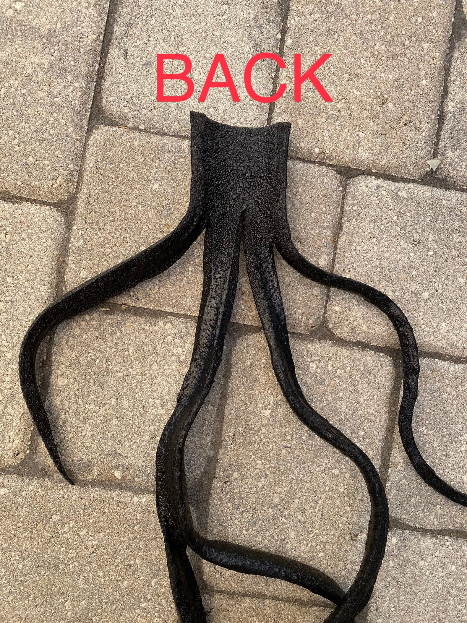 Stranger Things Vines / Halloween Vines 5 Vines Total - Etsy