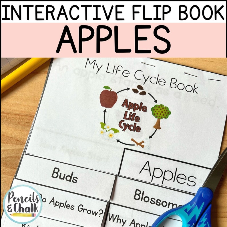 Life Cycle of an Apple Interactive Flip Book - Kindergarten Science ...
