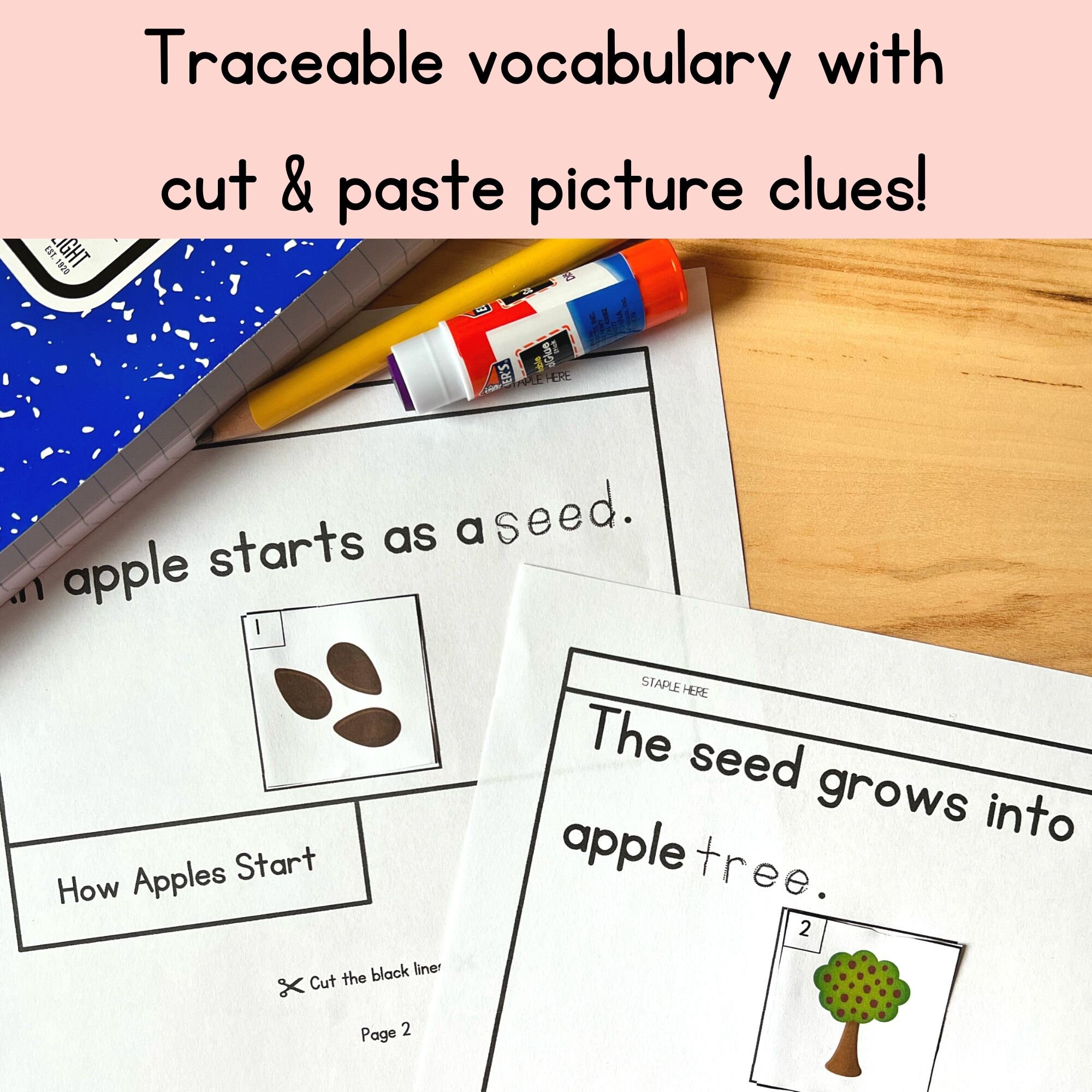 Life Cycle of an Apple Interactive Flip Book - Kindergarten Science ...