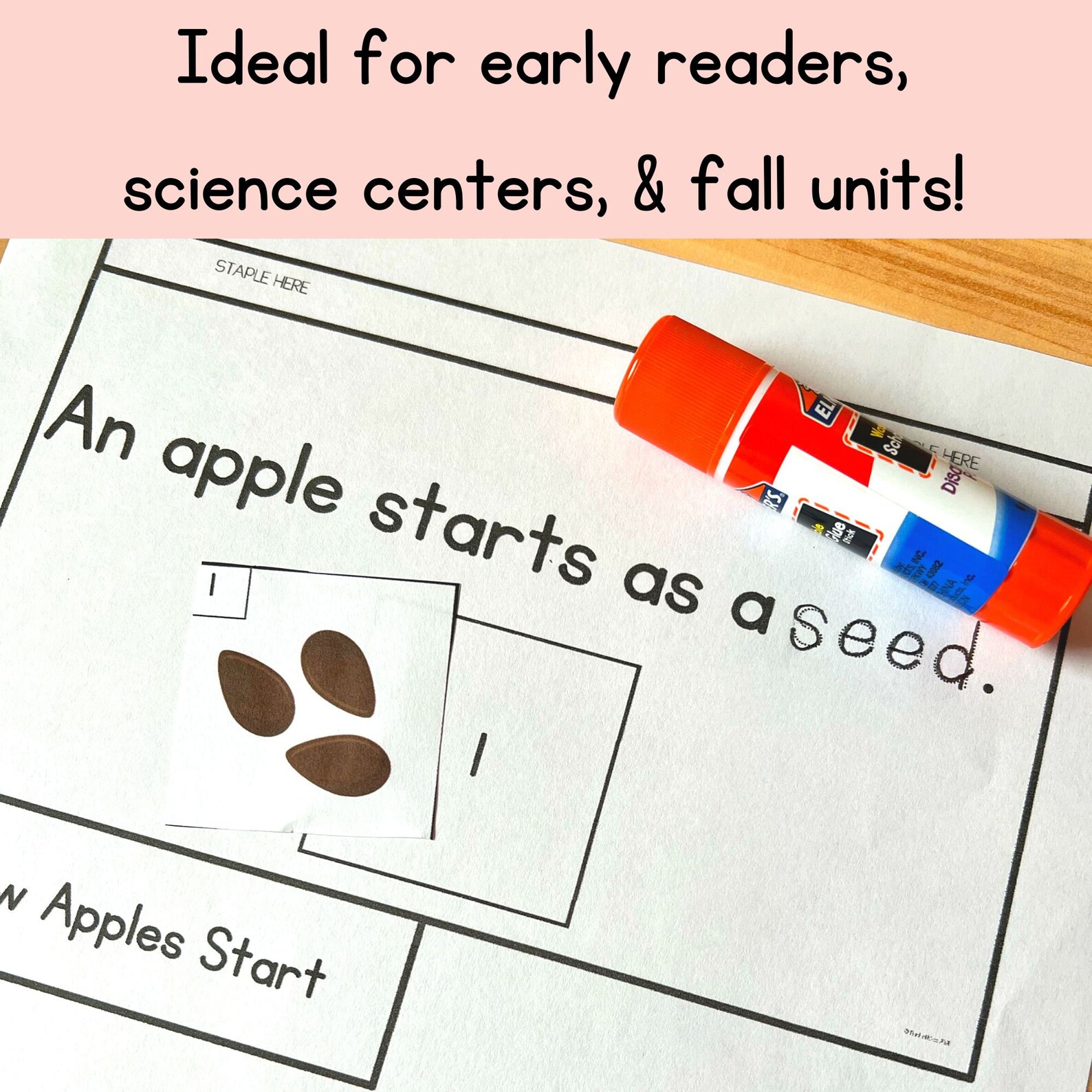 Life Cycle of an Apple Interactive Flip Book - Kindergarten Science ...