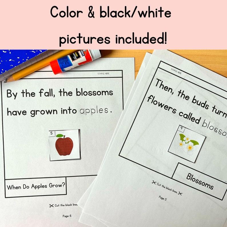 Life Cycle of an Apple Interactive Flip Book - Kindergarten Science ...