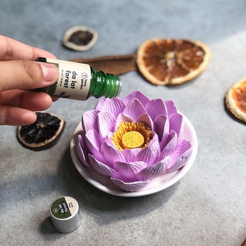 Natural Aromatherapy Lotus Stone Diffuser (with Essential Oil) - Home ...