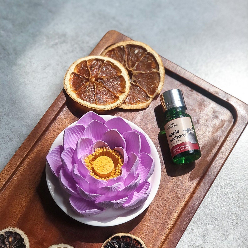 Natural Aromatherapy Lotus Stone Diffuser (with Essential Oil) - Home ...