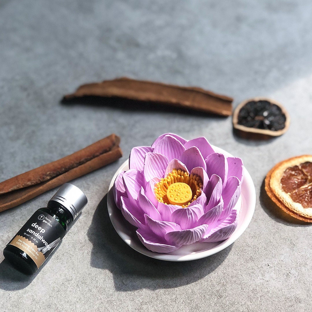 Natural Aromatherapy Lotus Stone Diffuser (with Essential Oil) - Home ...