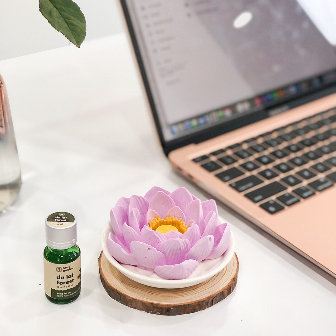 Natural Aromatherapy Lotus Stone Diffuser (with Essential Oil) - Home ...