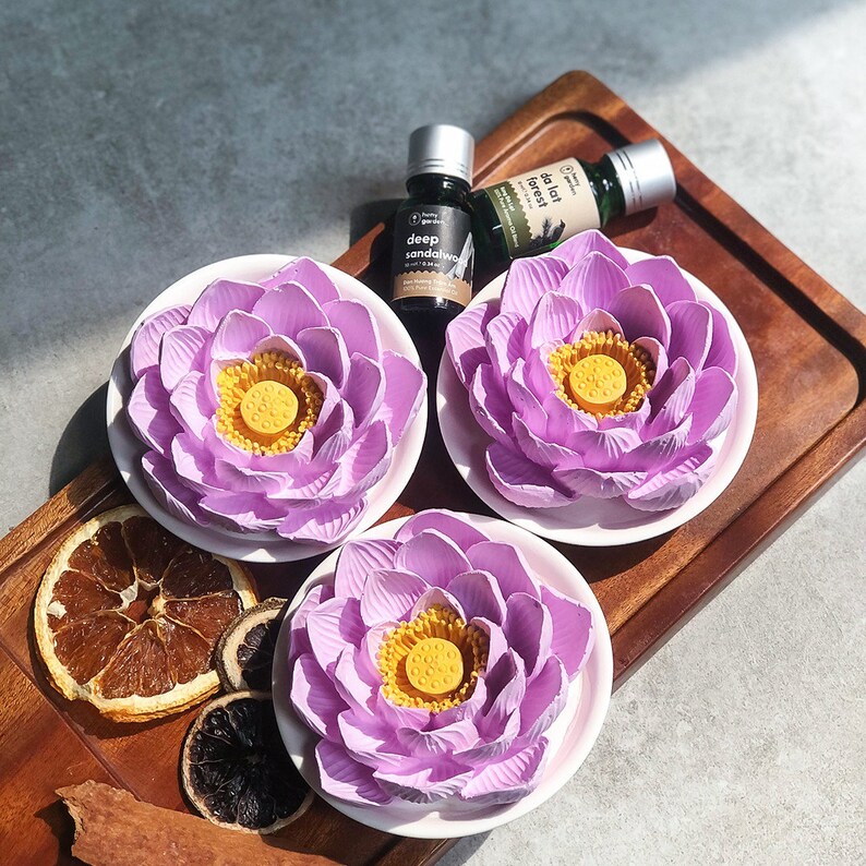 Natural Aromatherapy Lotus Stone Diffuser (with Essential Oil) - Home ...