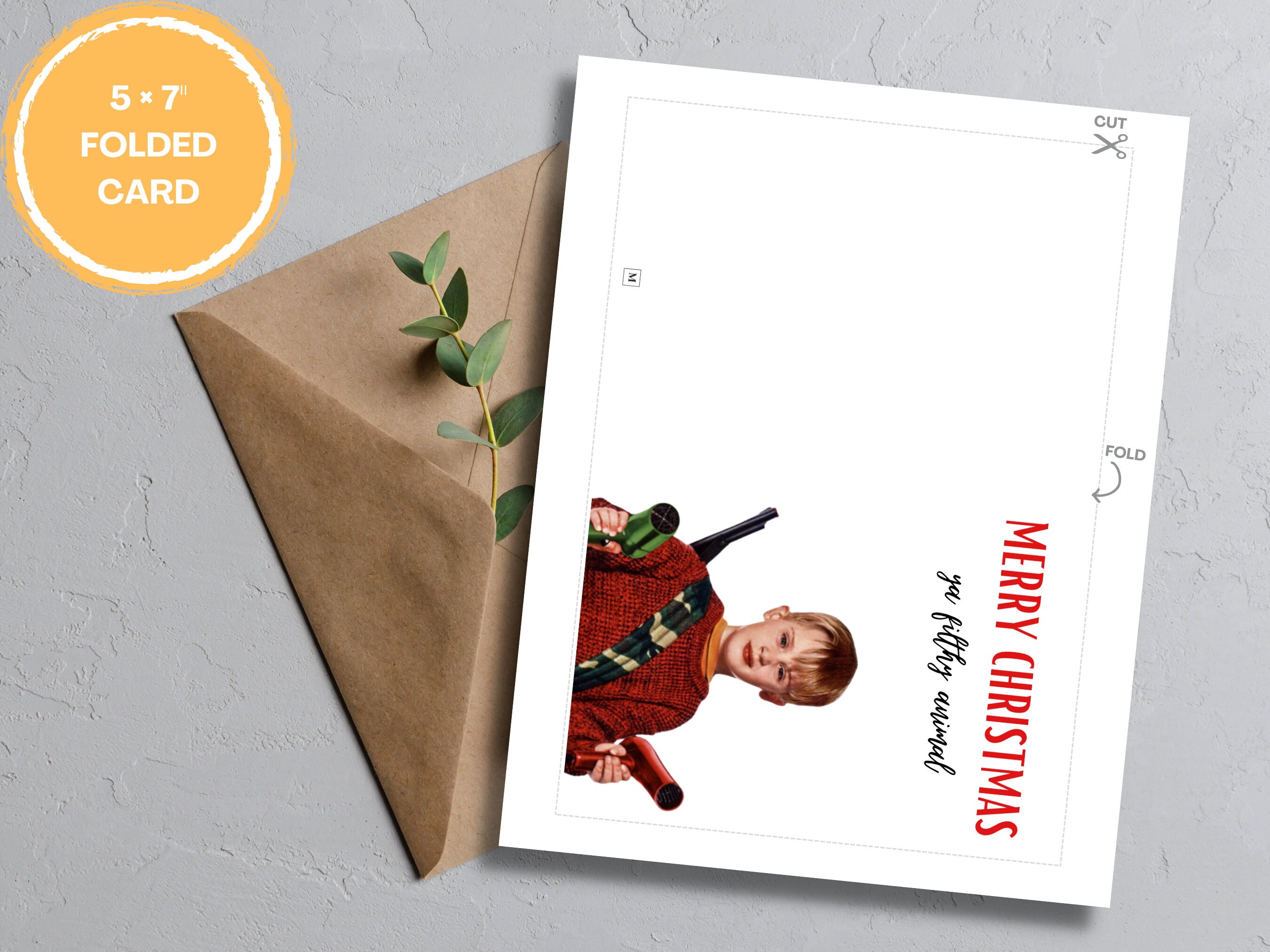 Home Alone Christmas Card - Filthy Animal Christmas Card - Home Alone ...
