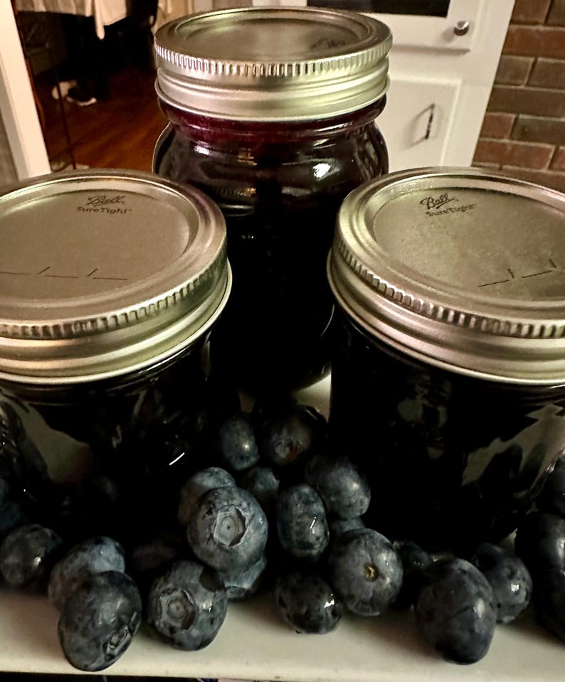 Blueberry Jam - Etsy