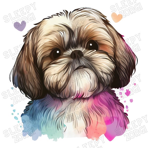 Cute Shih Tzu