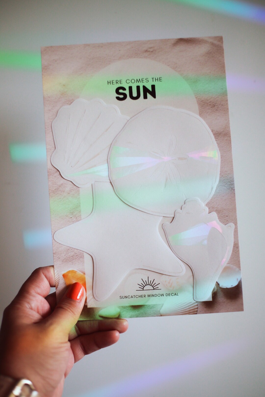 Suncatcher Stickers Beach Shells Removable Window Decal - Etsy