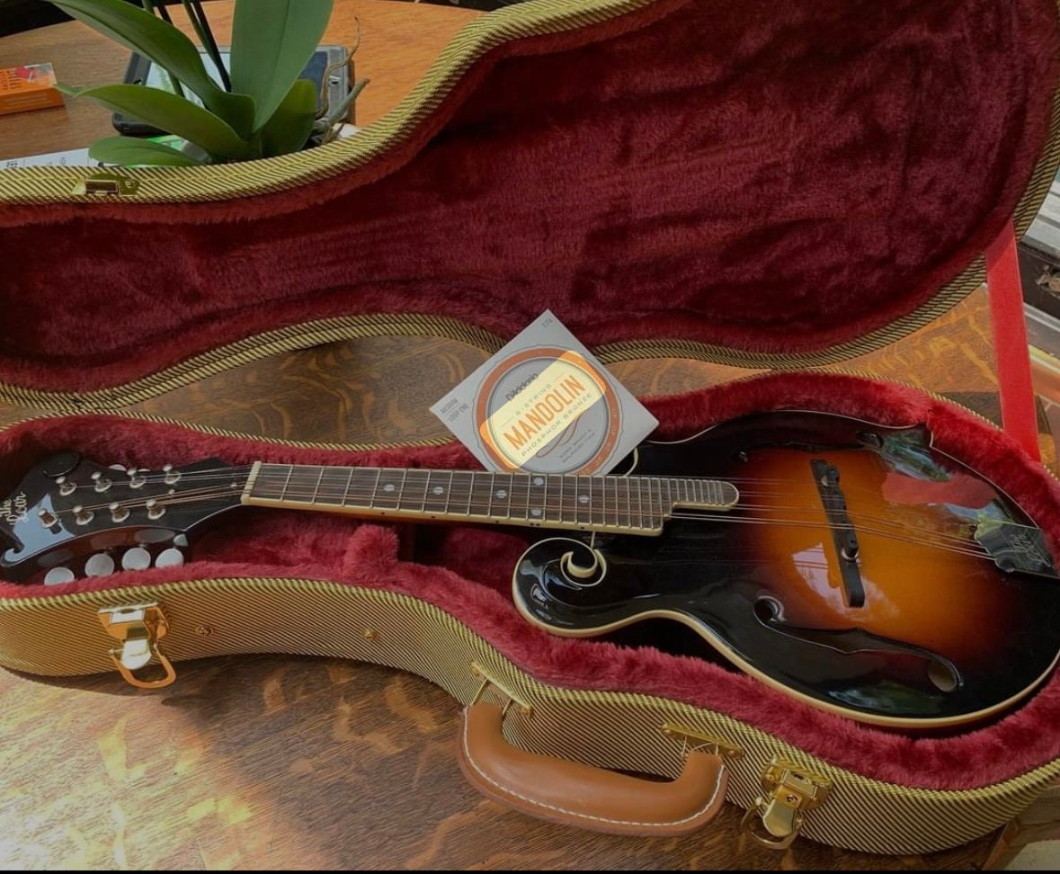 The Loar LM-520 Mandolin - Etsy