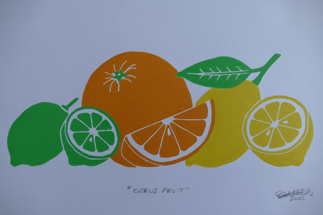 A4 Original Linocut Print citrus Fruit - Etsy