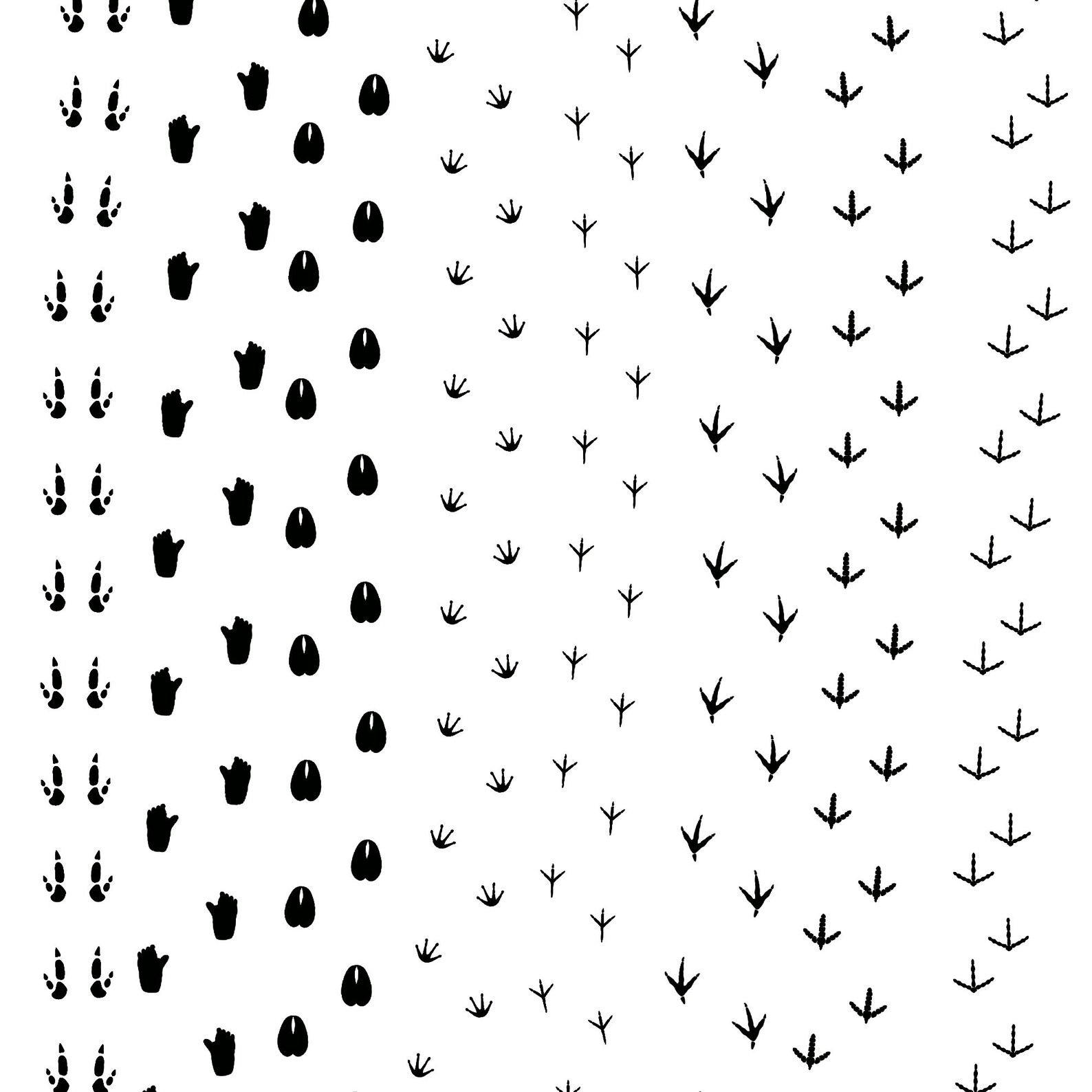 41 ANIMAL and HUMANDS FOOTPRINTS Brushes for Procreate - Etsy