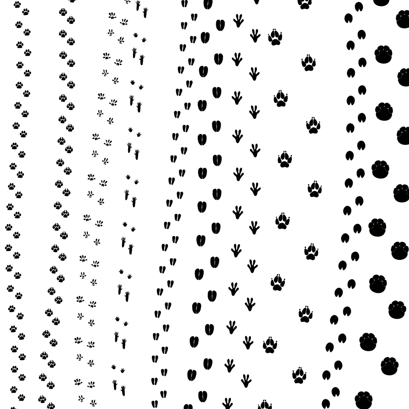 41 ANIMAL and HUMANDS FOOTPRINTS Brushes for Procreate - Etsy