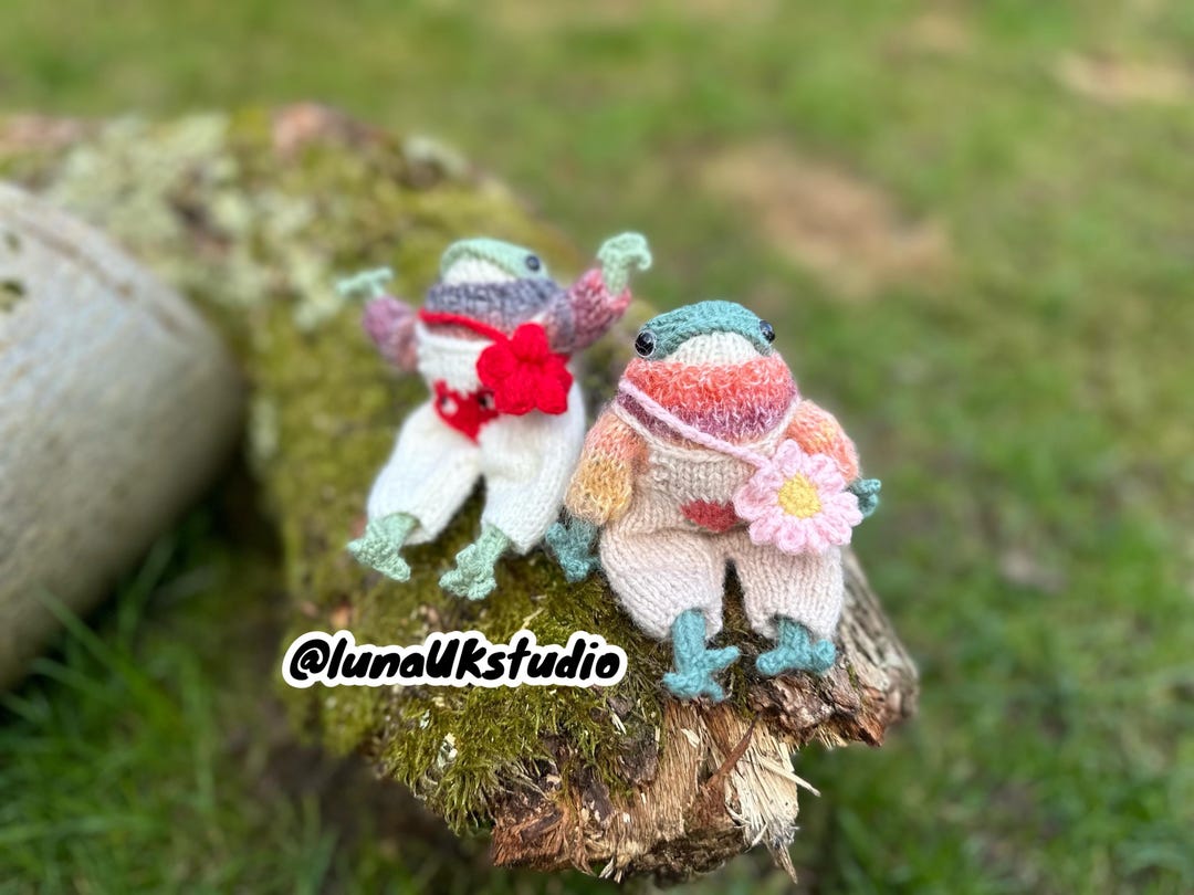 Crochet Frog Toy: Handmade Knitted Amigurumi With Sweater - Etsy