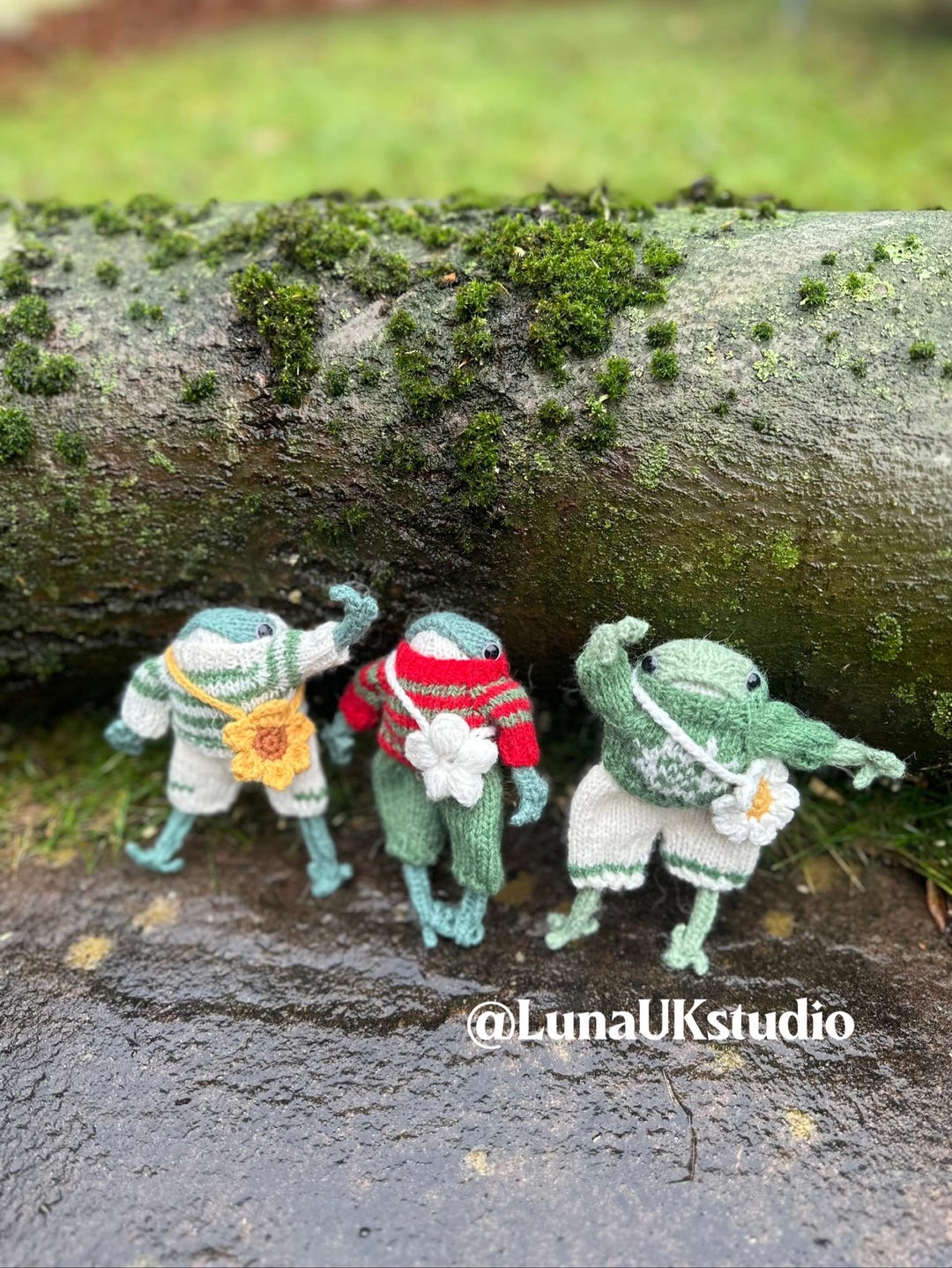 Knitted Frog, Frog and Toad, Froggie's Sweater and Overalls, Frog Plush ...