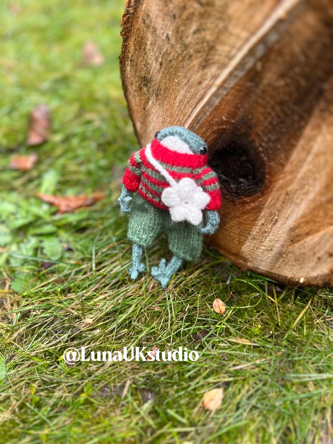 Handmade Knitted Frog Plush: Amigurumi Froggy With Sweater - Etsy
