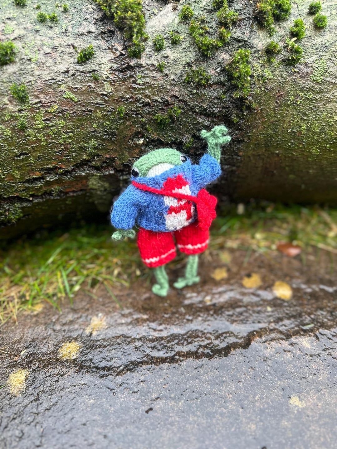 Froggie Frog Crochet,green Frog Knitted,froggie's Sweater,cute Toy Frog ...