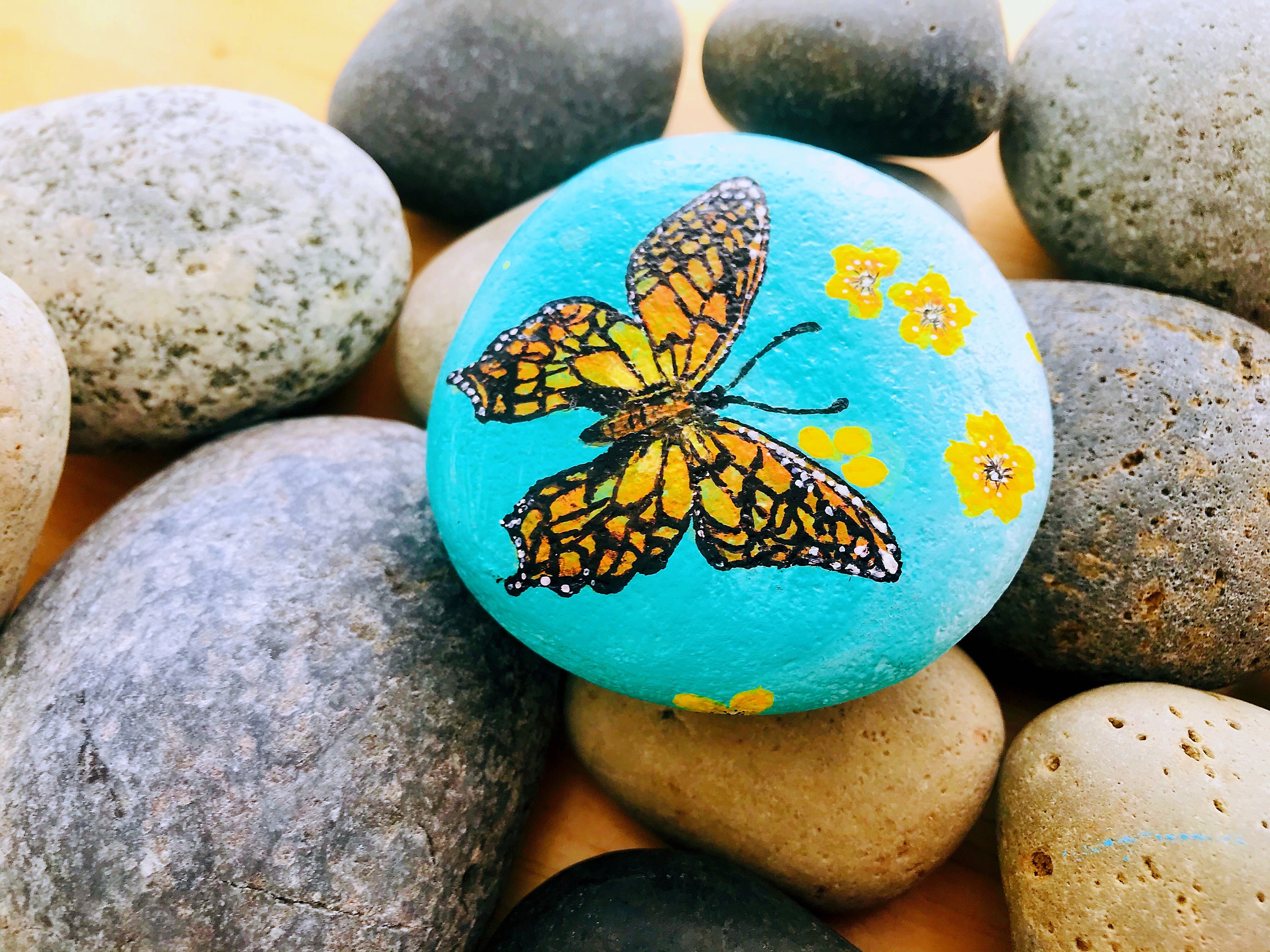 Painted Butterfly Rock, Painted Rocks, Custom Rocks, Garden Decoration ...
