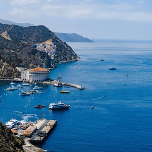 Catalina Island Harbor Art Print: Avalon Bay, California Wall Art ...