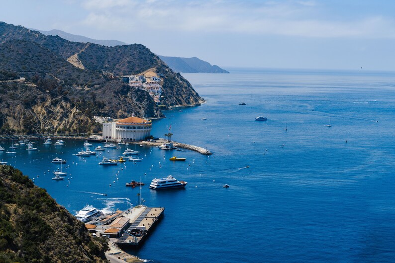 Catalina Island Harbor Art Print: Avalon Bay, California Wall Art ...