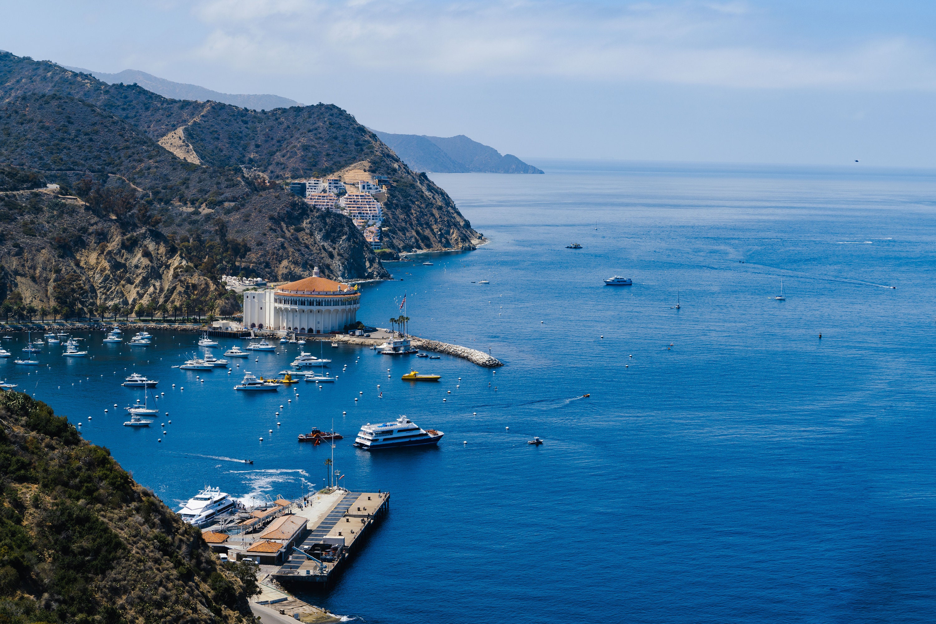 Catalina Island Art: Catalina Harbor Art, Avalon Bay Print, California ...