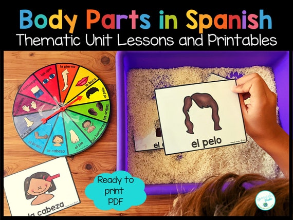 Spanish Worksheets For Kids Body Parts
