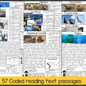 Spanish Close Reading Passages: Animal Bundle-reading - Etsy