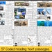 Spanish Close Reading Passages: Animal Bundle-reading Comprehension ...
