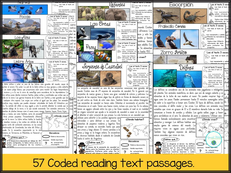 Spanish Close Reading Passages: Animal Bundle-reading - Etsy