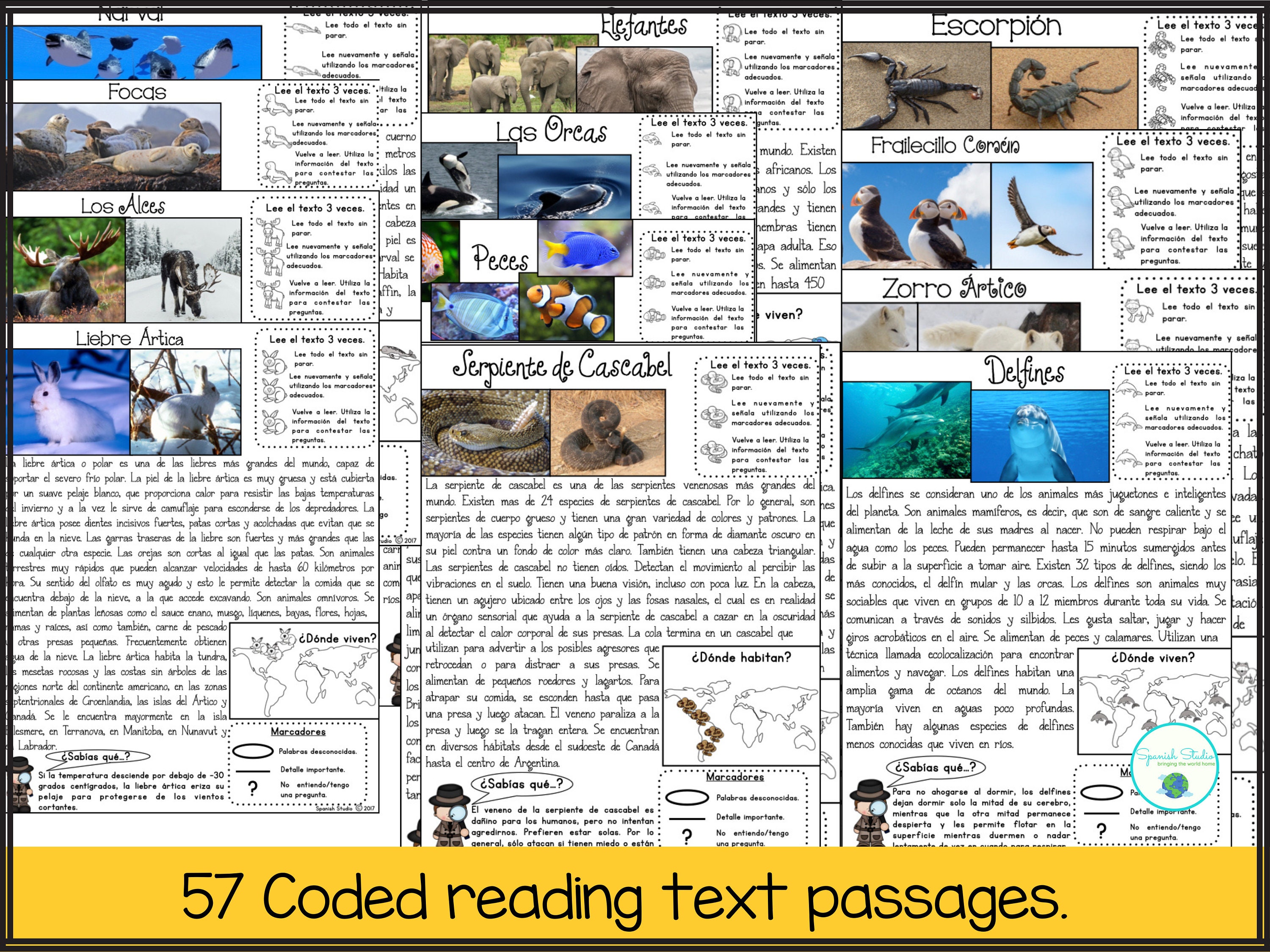 Spanish Close Reading Passages: Animal Bundle-reading - Etsy