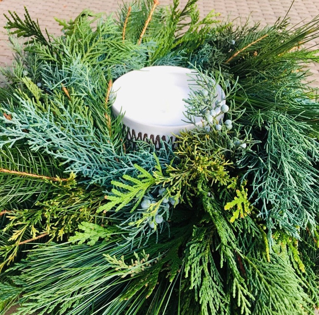 Wreath Making Party DIY Craft Kit Box of Fresh Seasonal Evergreens for ...