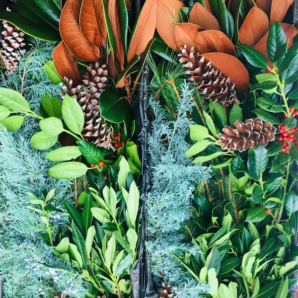 Mixed Greenery - Etsy