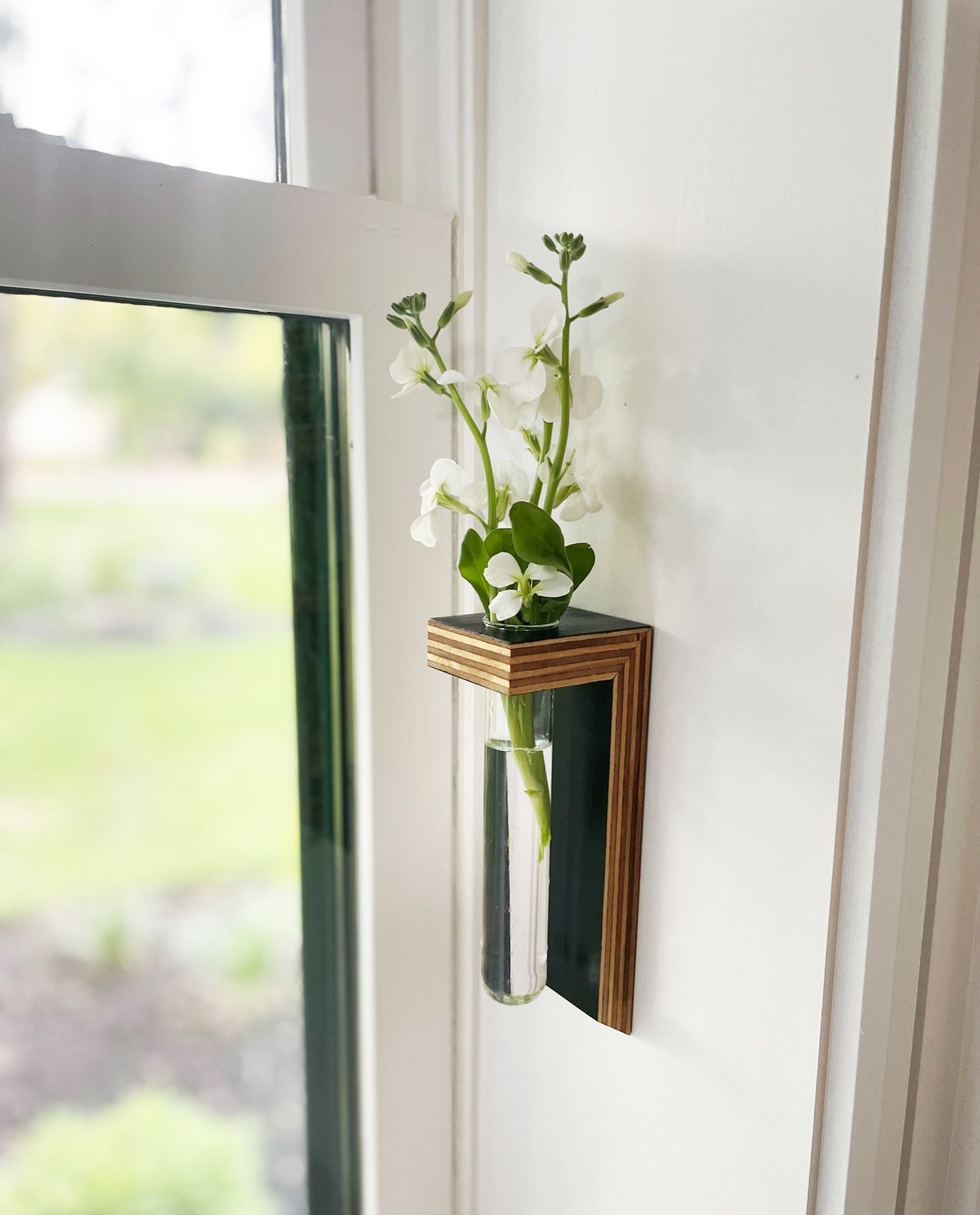 Plant Propagation Wall Hanging Plant Propagation Tubes Test - Etsy