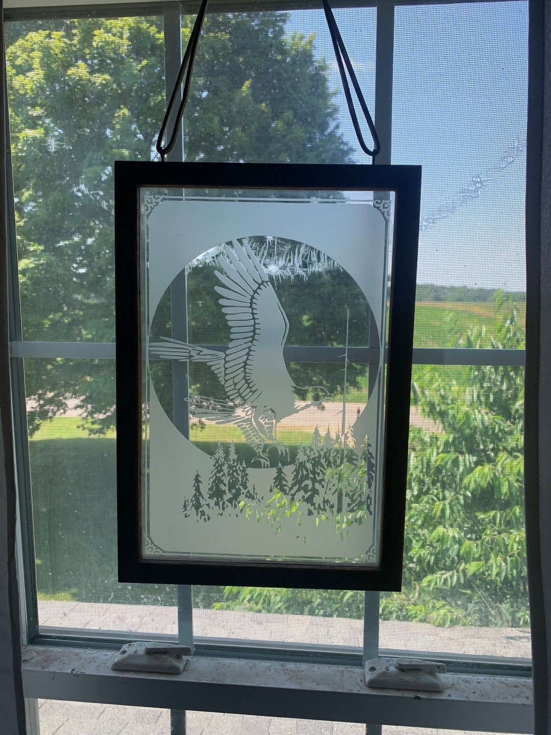 Framed Etched Glass American Bald Eagle - Etsy
