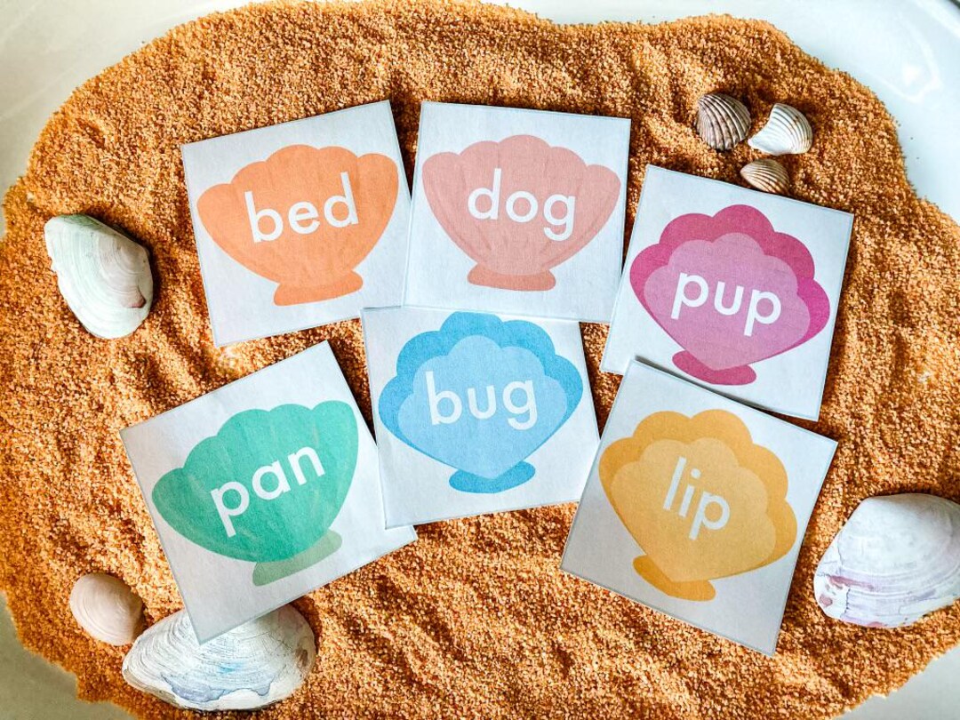 Seashell Printable CVC Word Cards, Ocean Theme Literacy Activity, Fine ...