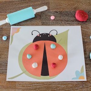 Insect Activity Pack, Pom Pom Patterns, Butterfly and Caterpillar ...