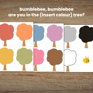 Little Mouse Colour Activity and Variations, Little Mouse Hide and Seek ...