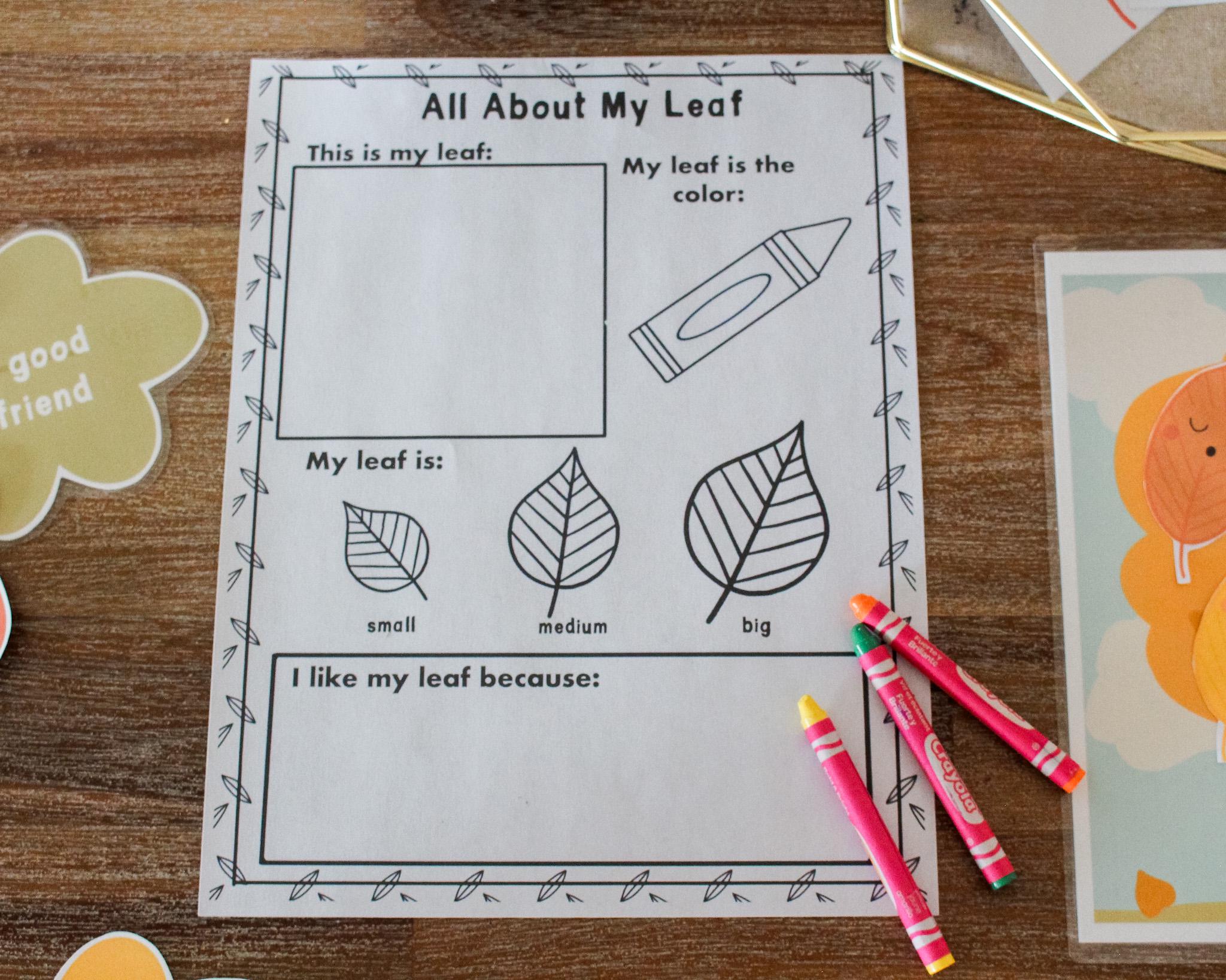 Autumn Leaves Activity Pack, Fall Preschool Activities, Preschool ...