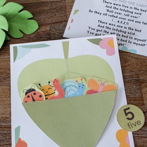 Insect Activity Pack, Pom Pom Patterns, Butterfly and Caterpillar ...