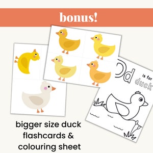 Five Little Ducks Song Activity, Pond Preschool Printables, Circle Time ...