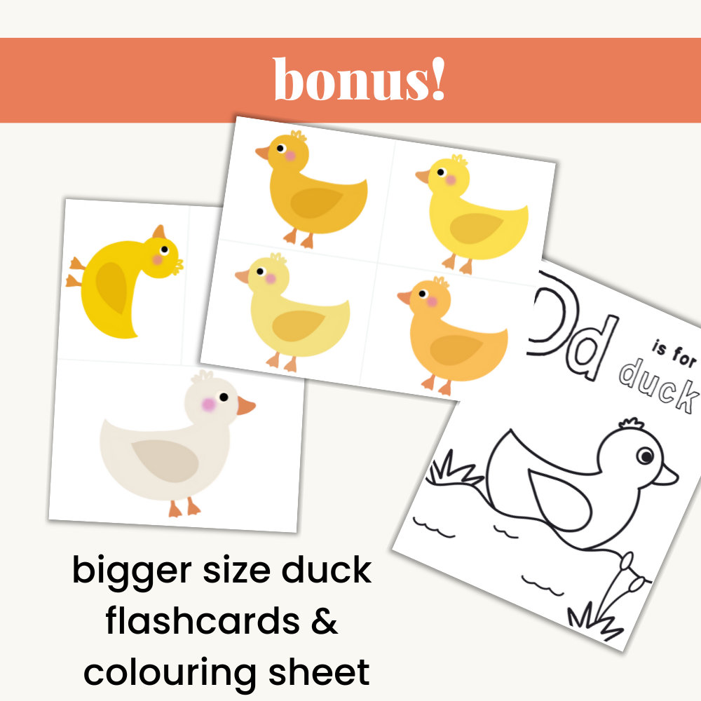 Five Little Ducks Song Activity, Pond Preschool Printables, Circle Time ...