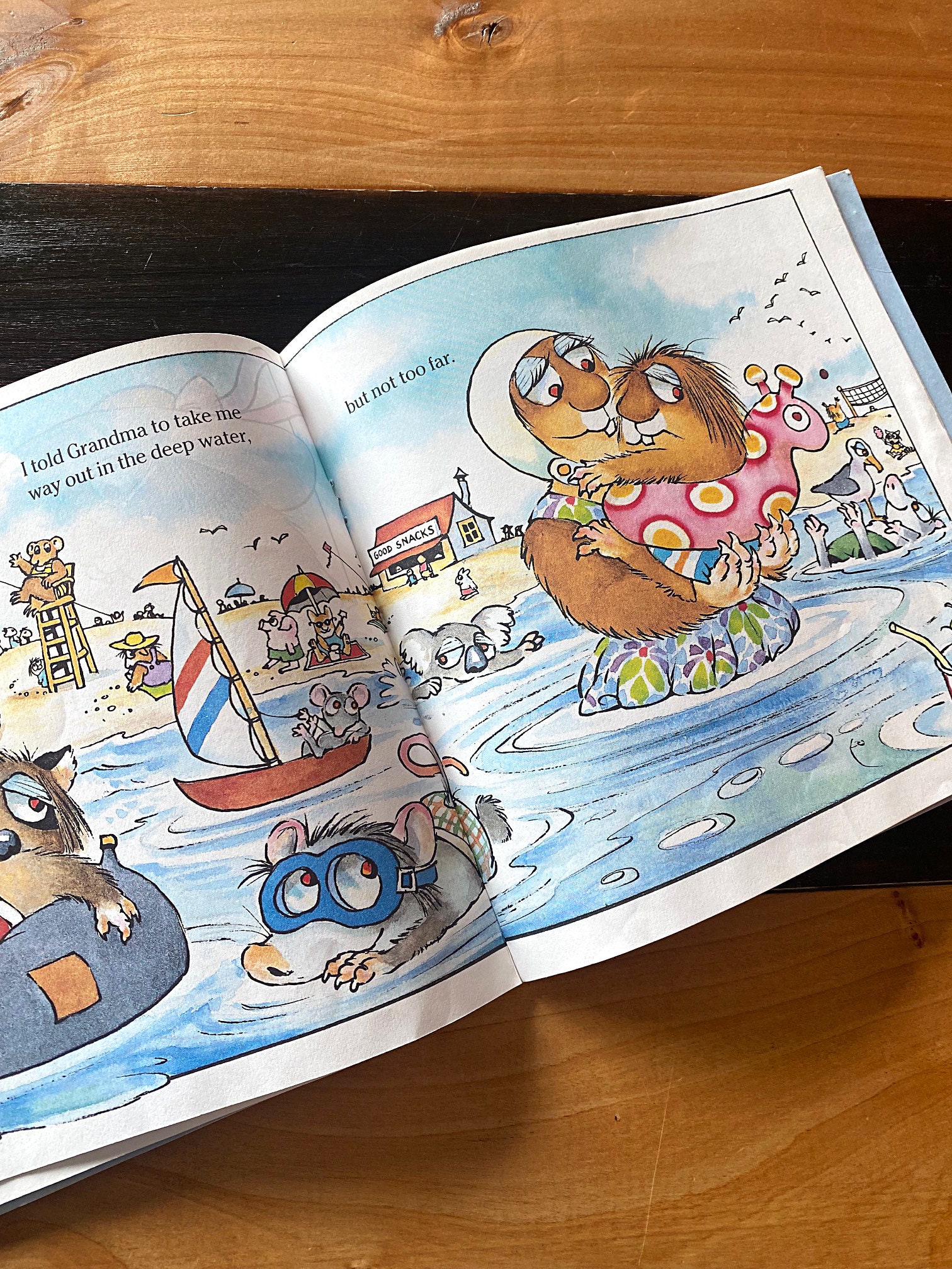 Little Critter Vintage Book Set of 9, Mercer Mayer, Kids Room, Library ...