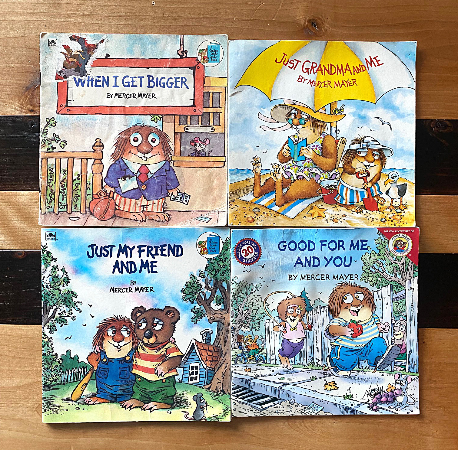 Little Critter Vintage Book Set of 9, Mercer Mayer, Kids Room, Library ...