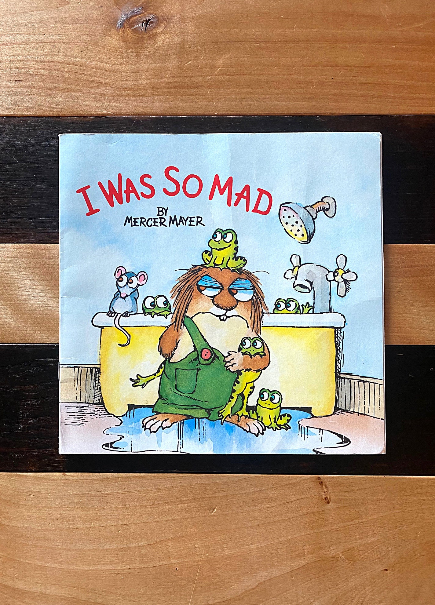 Little Critter Vintage Book Set of 9, Mercer Mayer, Kids Room, Library ...