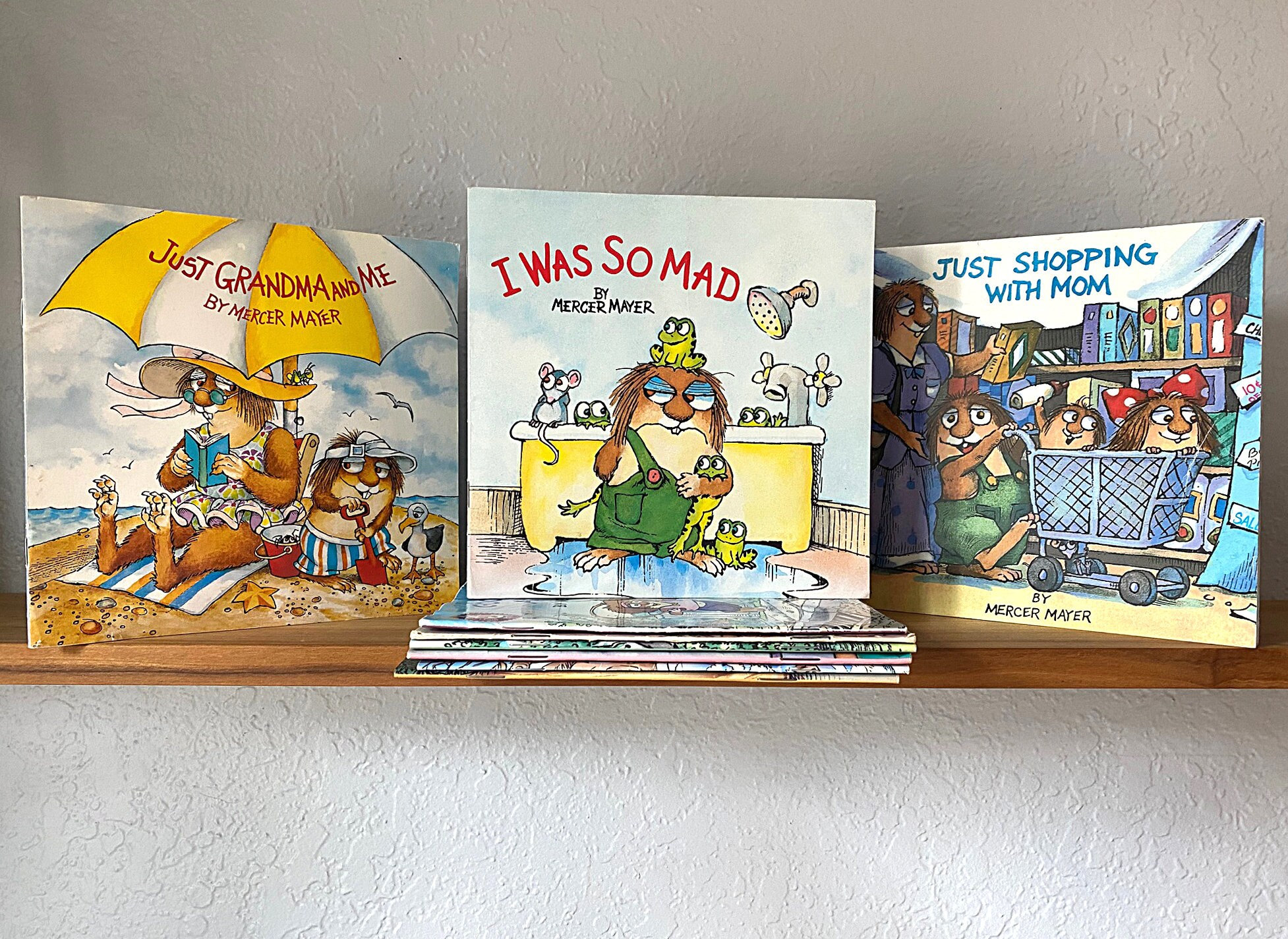 Little Critter Vintage Book Set of 9 Mercer Mayer Kids Room - Etsy