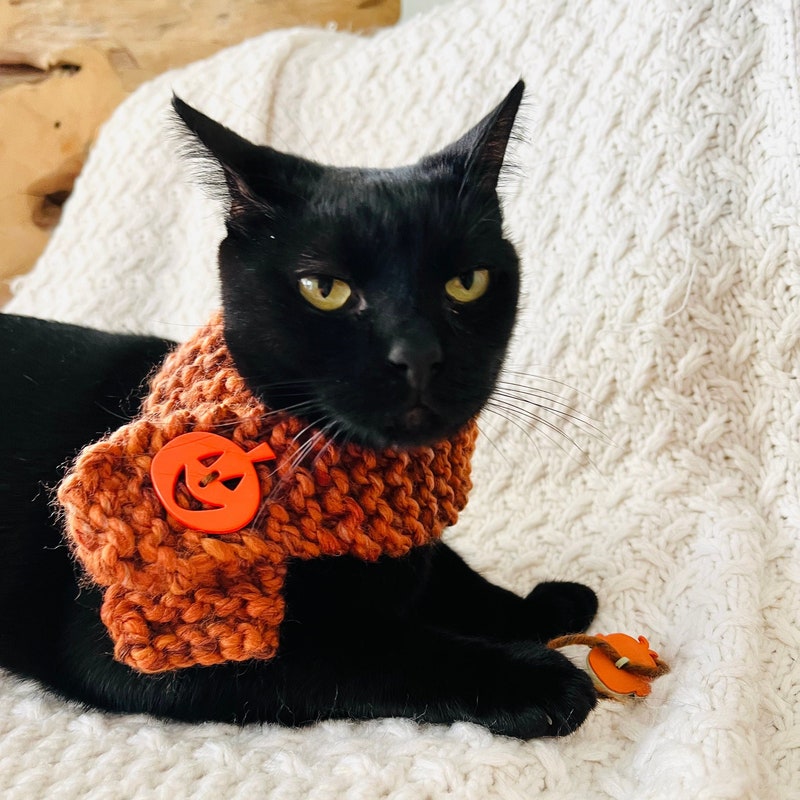 Knit Cat Scarf - Etsy