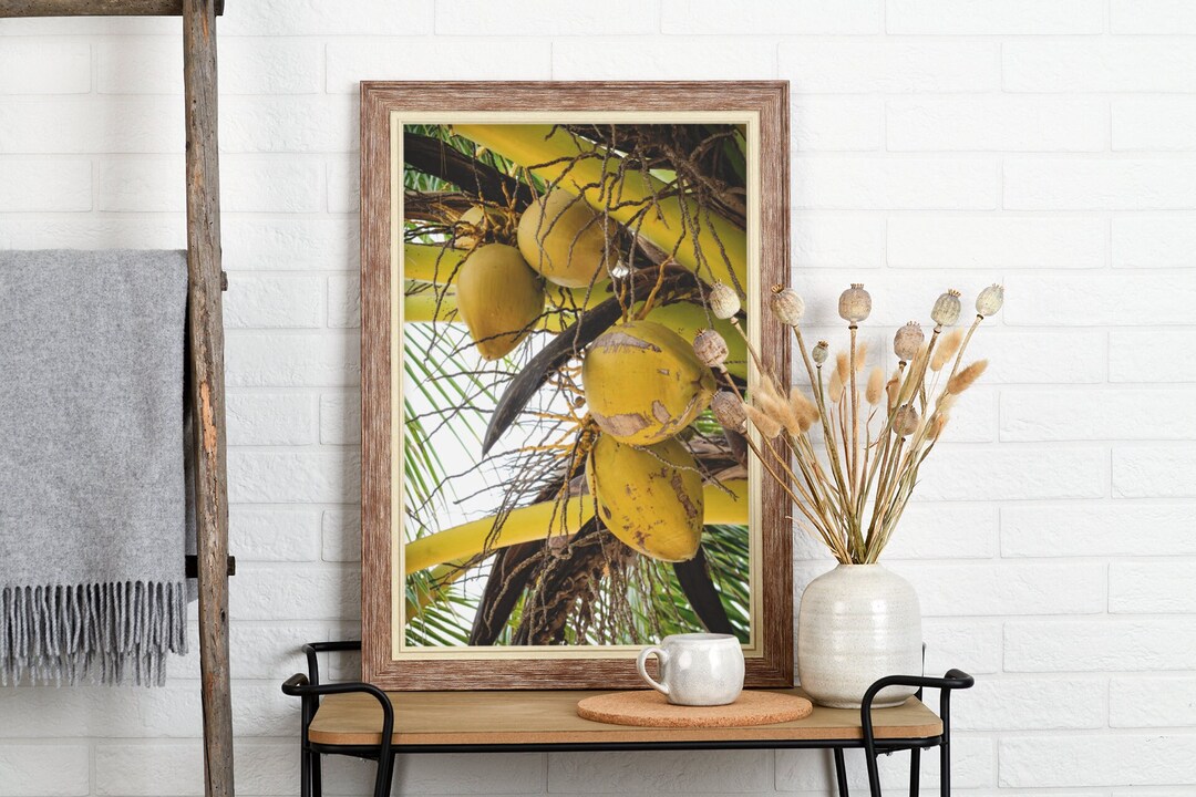 Coconut Vertical Poster, Coconut Tropical Fruit Photography, Coconut ...
